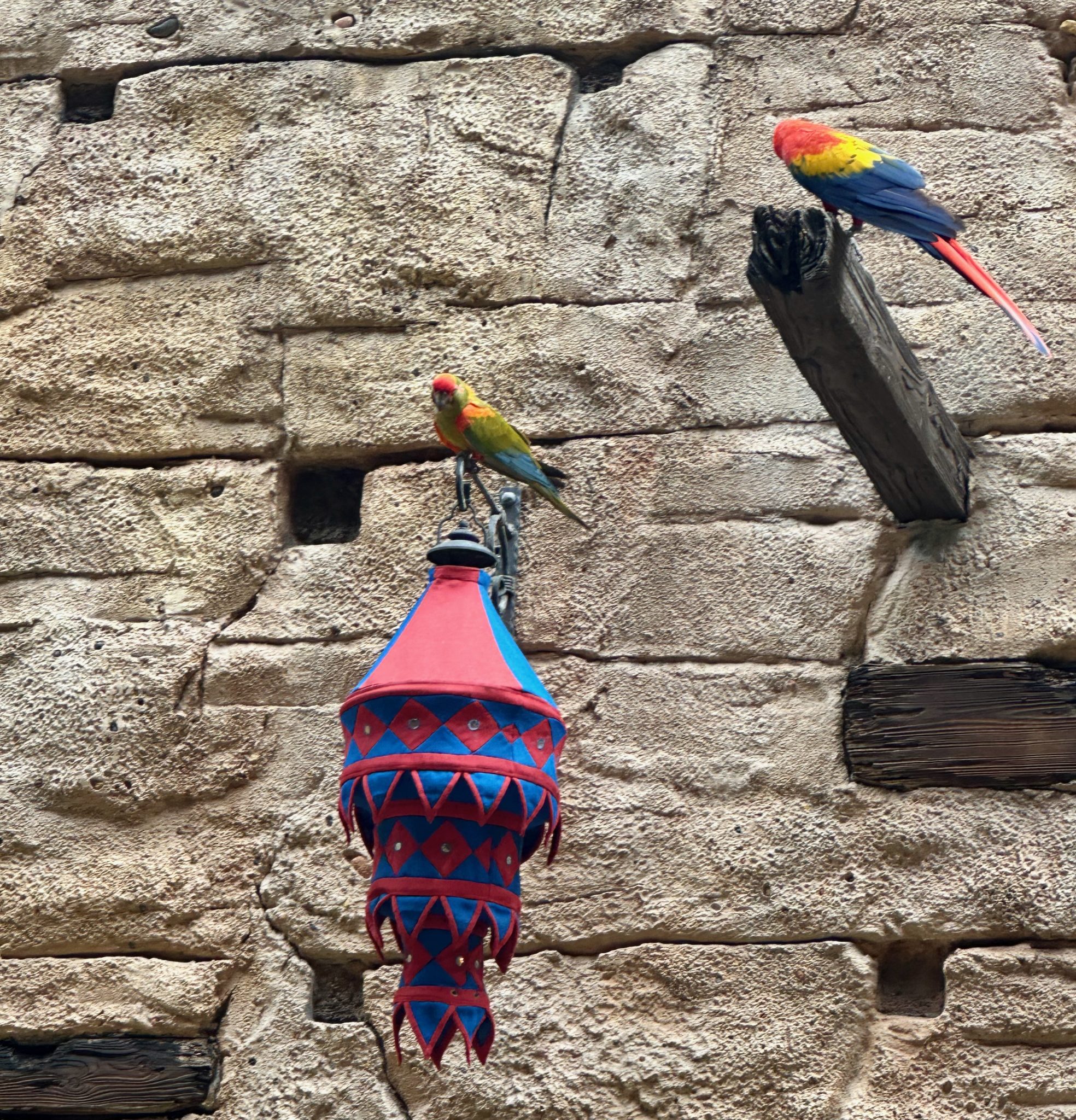 The best Ultimate Guide to Disney's Animal Kingdom - Magic Theme Parks